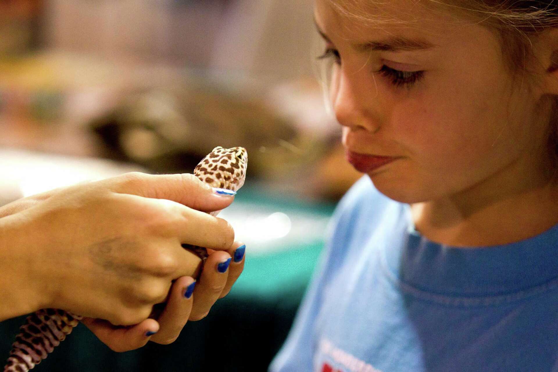 Family-friendly events around Houston this weekend