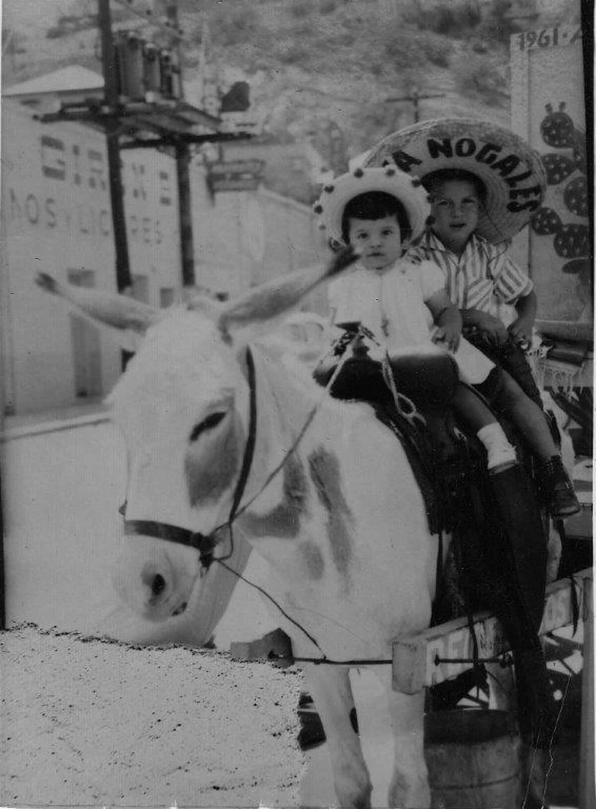 Watch this bird photobomb a KTVU weather report