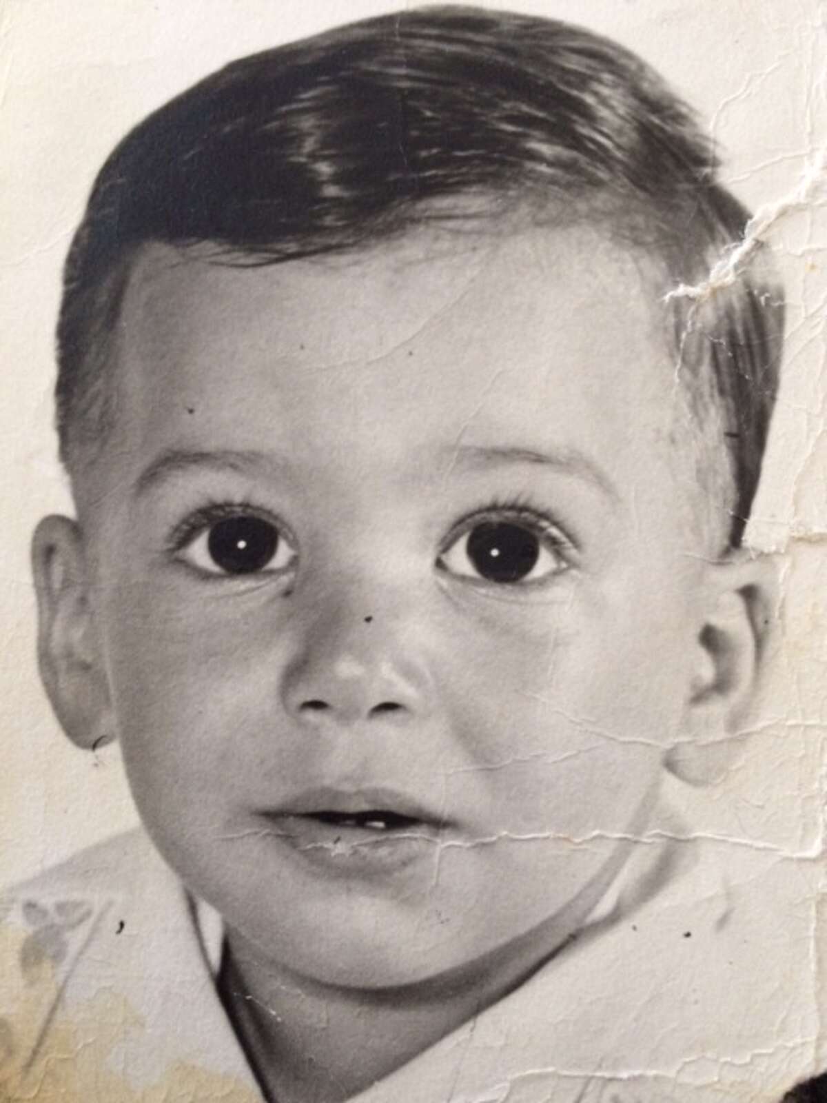 Watch this bird photobomb a KTVU weather report