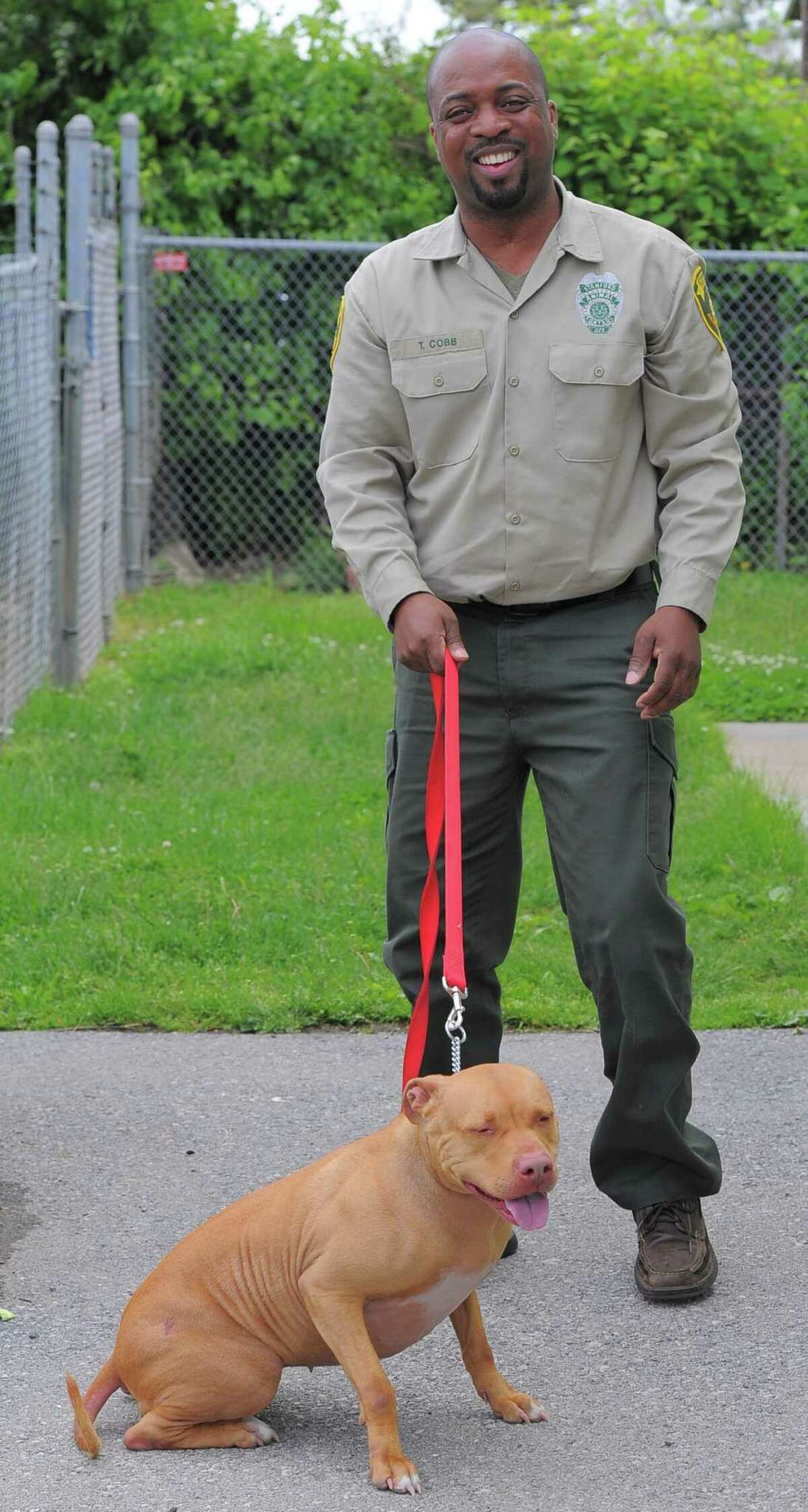 Stamford animal shelter houses less dogs