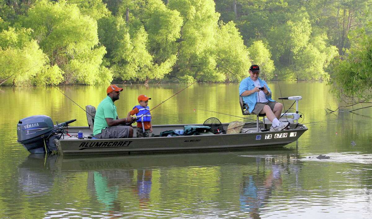 There are gators galore in Texas