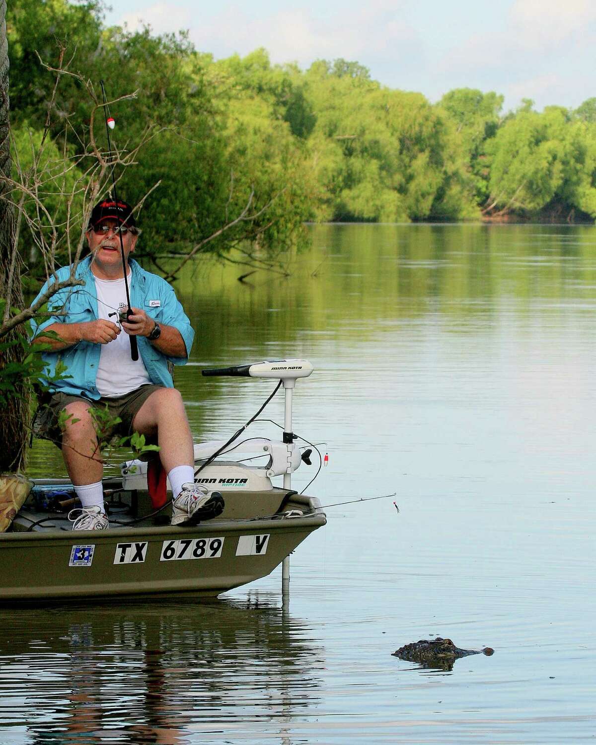 There are gators galore in Texas