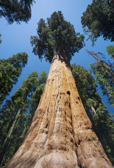 California: The land of natural extremes and superlatives