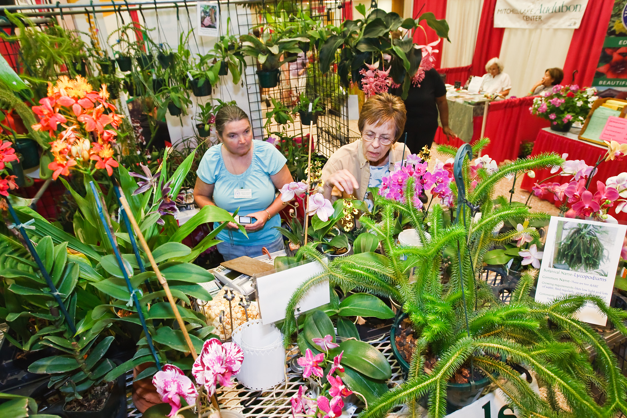 Calvin Finch: 19th annual Festival of Flowers is Saturday.