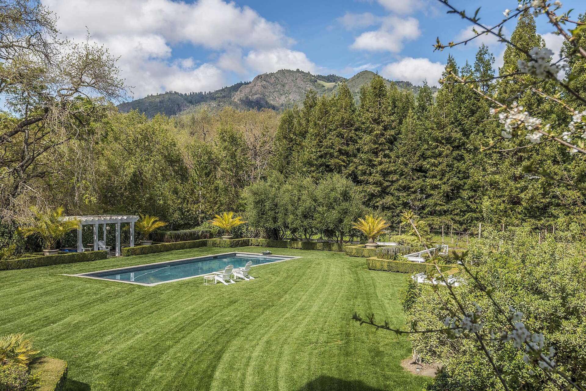 Kenwood vineyard estate perched on 4½ acres