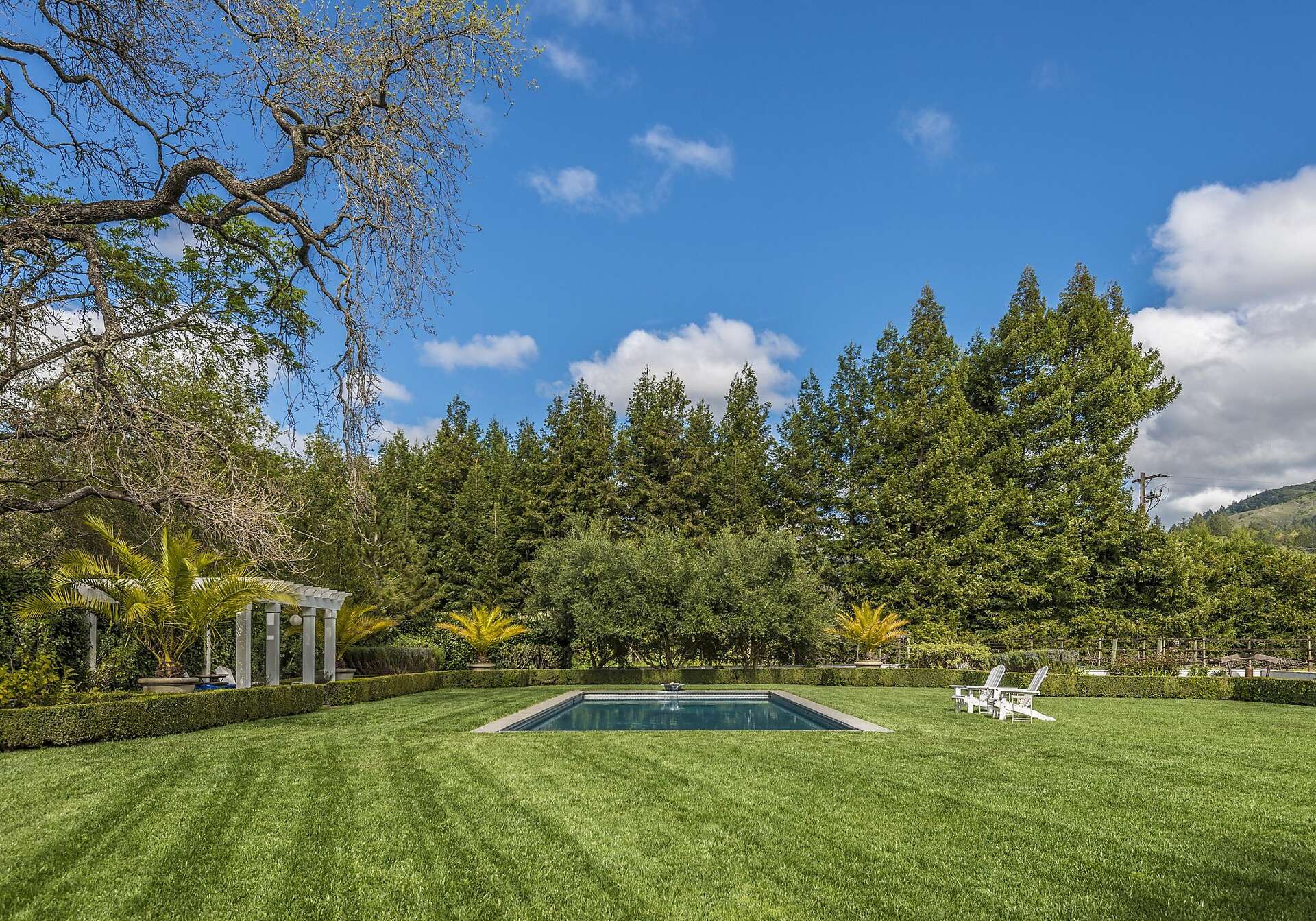 Kenwood vineyard estate perched on 4½ acres