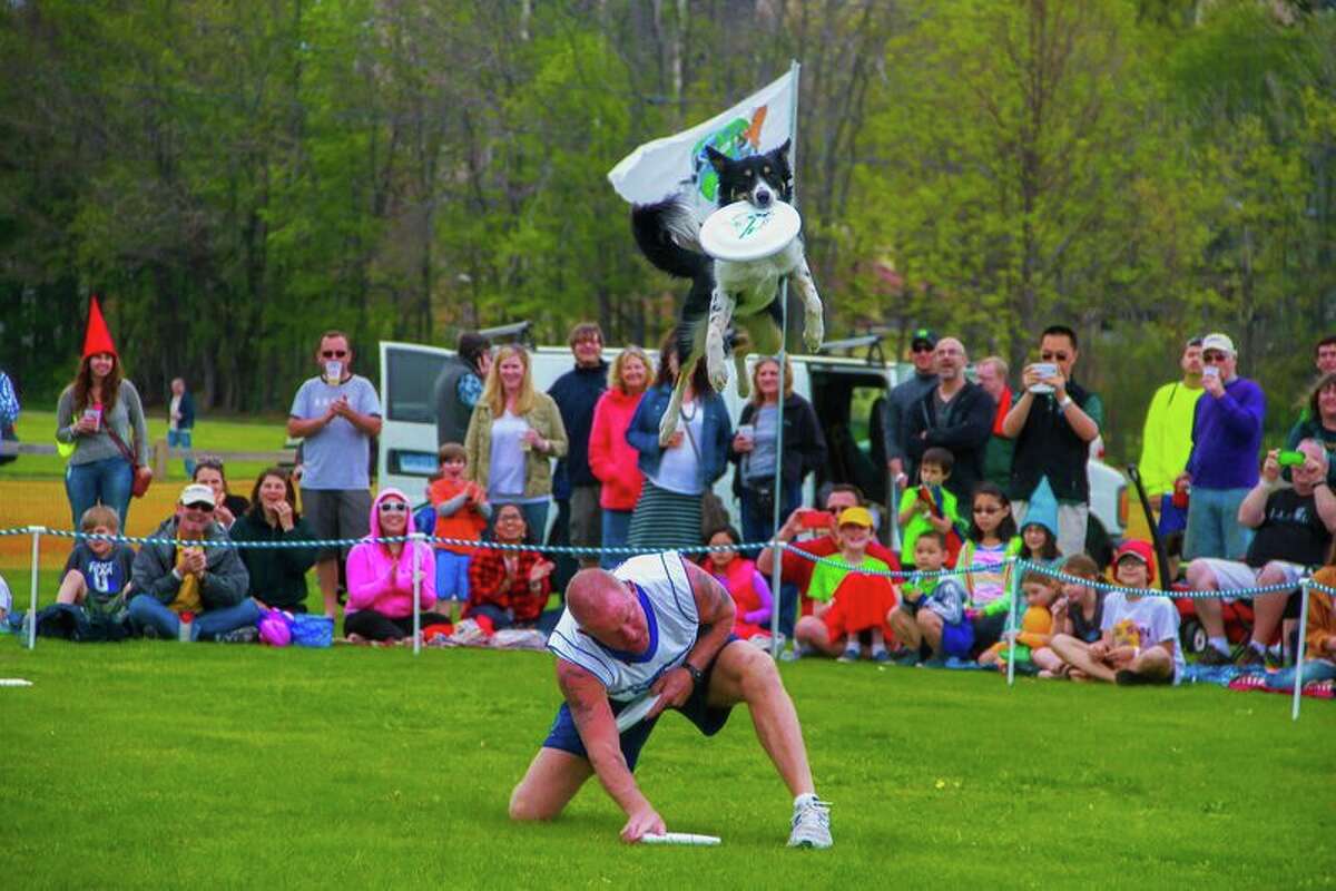 Bridgeport Frisbee fest expands to 2 days, moves to Harbor Yard