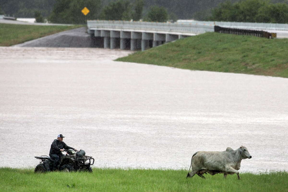 Astronaut photo shows Brazos River flooding