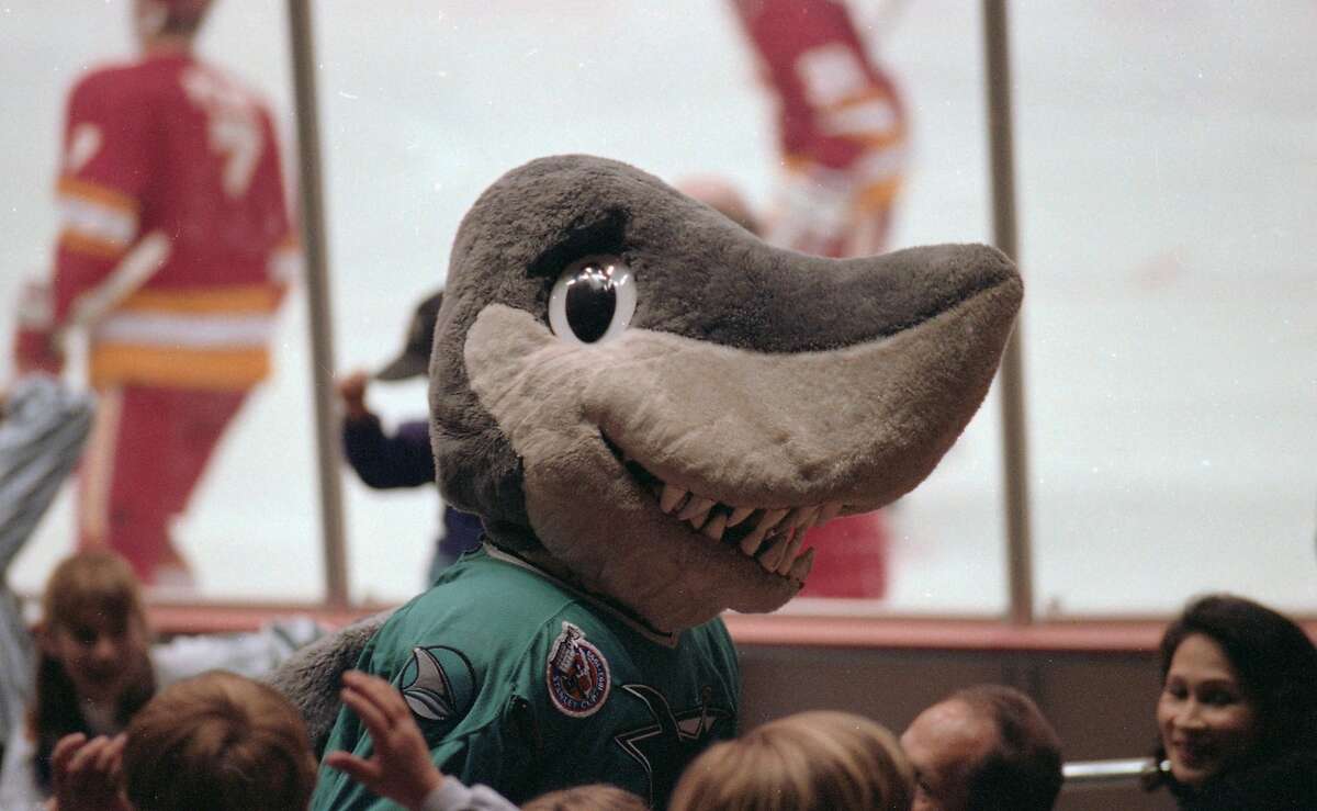 Cow Palace-era Sharks fans: Are you in these photos?