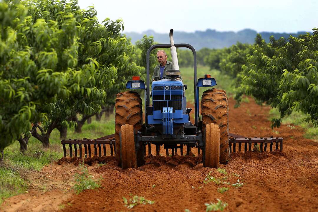 Texas traditions as told by Reddit