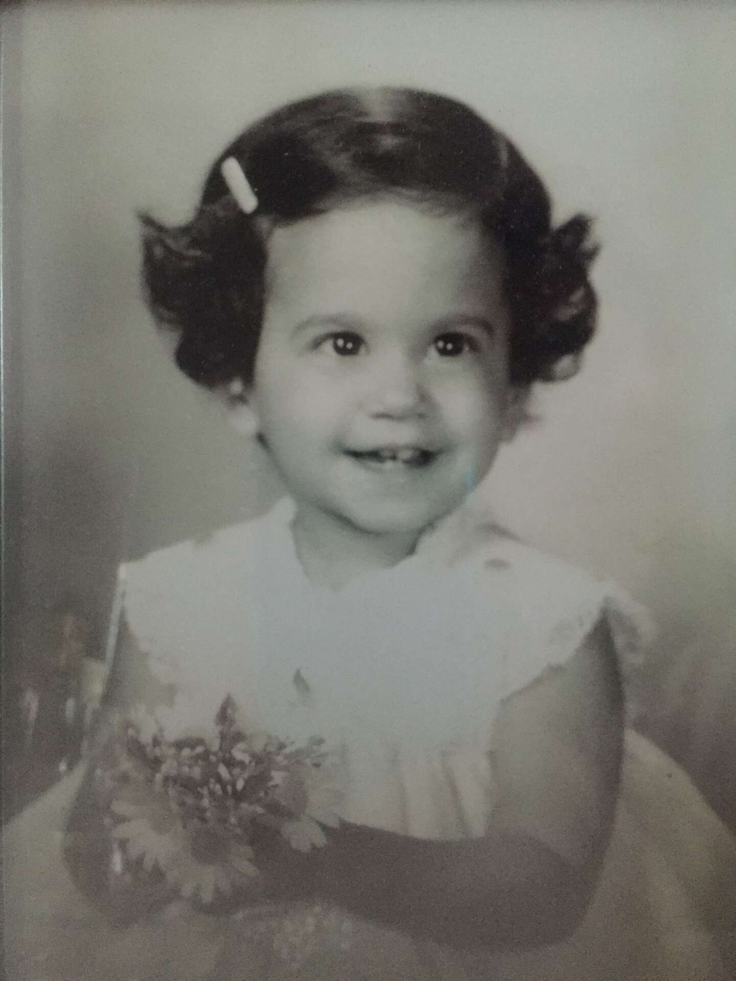 Watch this bird photobomb a KTVU weather report