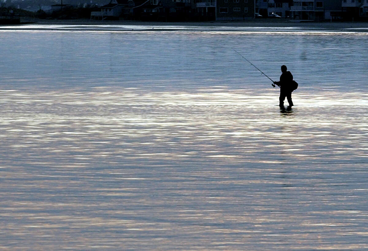 Shelton man hooked with fake fishing license