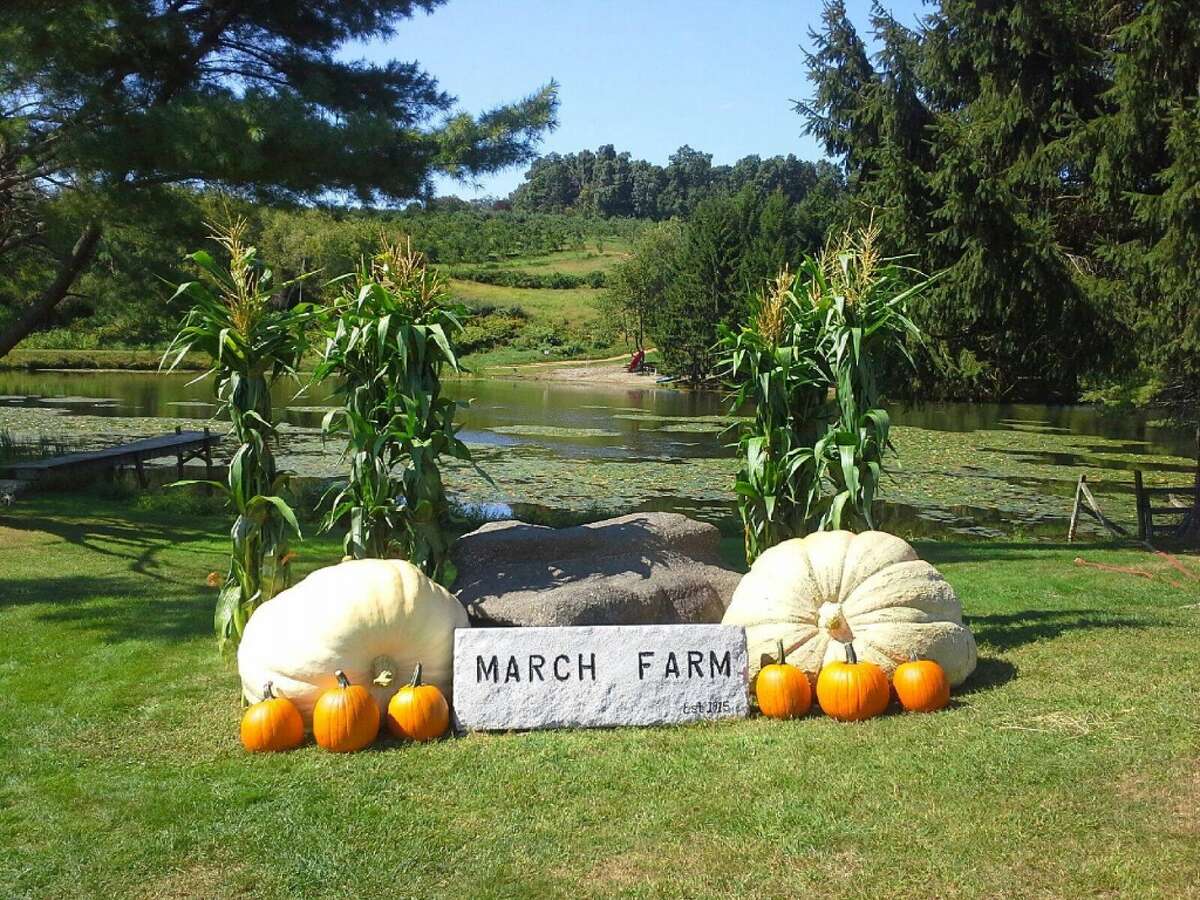 Savory and sweet: Ways to enjoy the last of the season’s corn