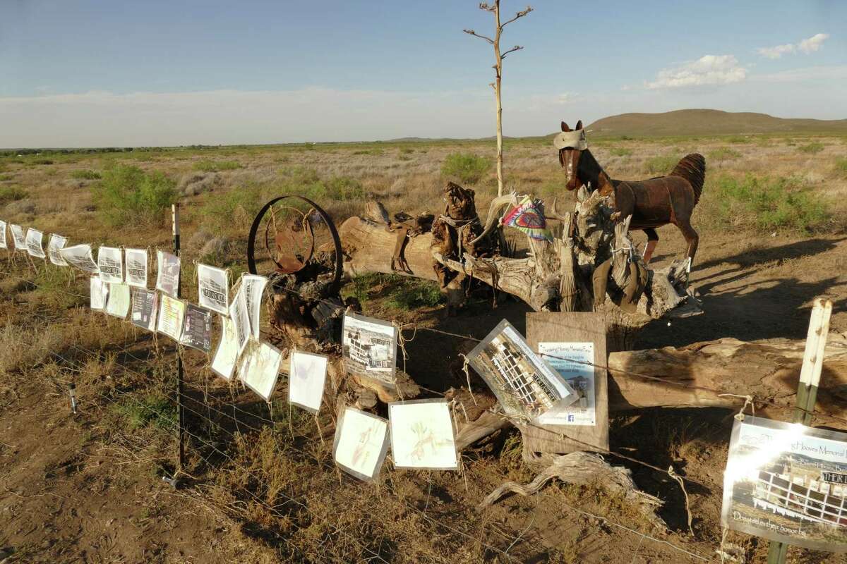 Horse slaughter controversy still rages