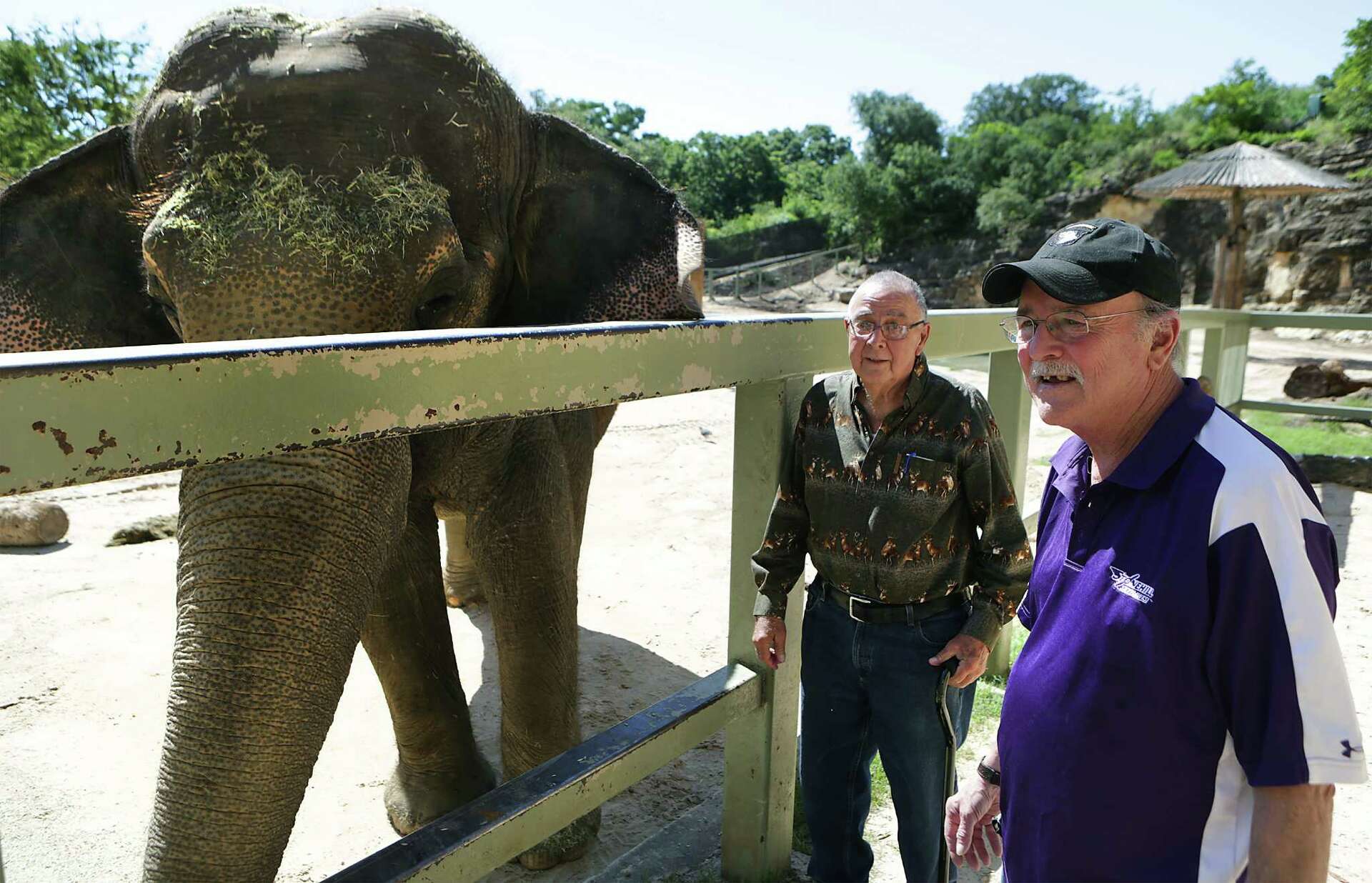 Former zookeeper reunites with old friends