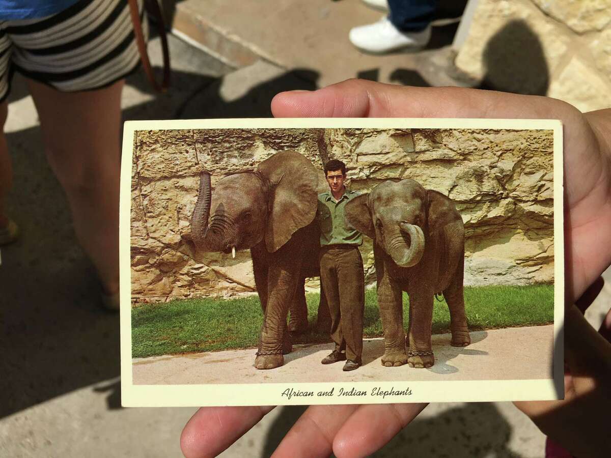 Former zookeeper reunites with old friends