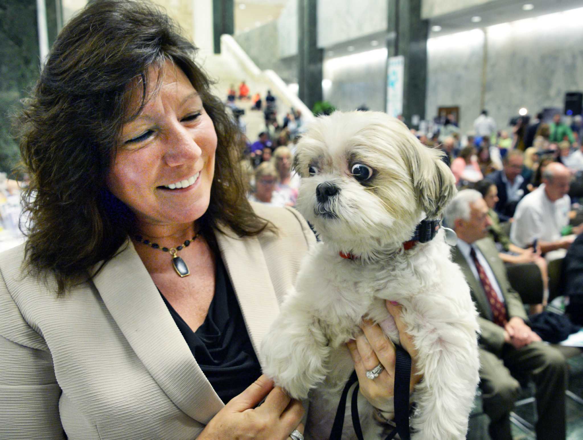 New York Senator Sue Serino being treated for breast cancer