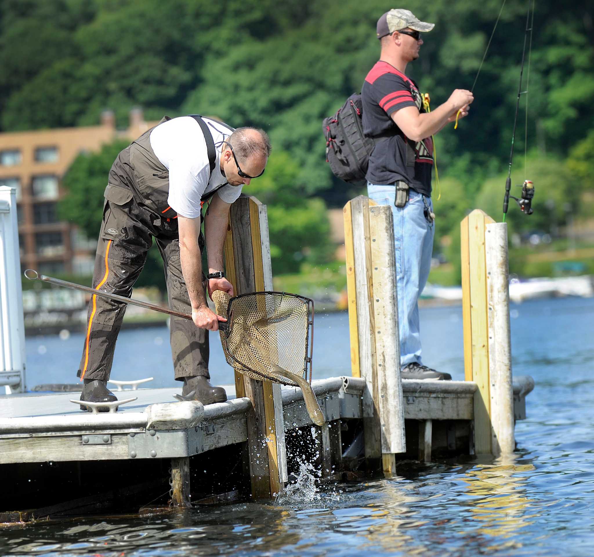 New fish-tracking program comes to Candlewood