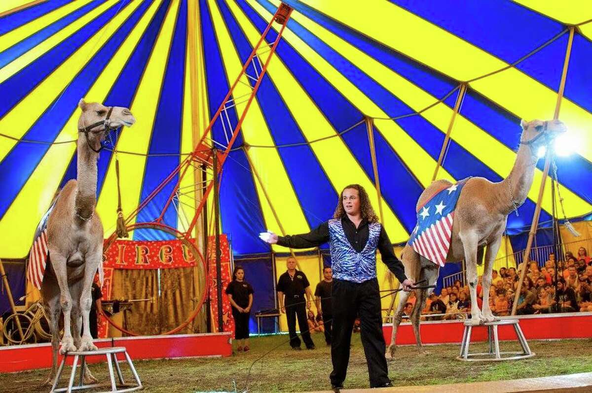 18 things to do this weekend