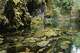 World's ugliest color revealed