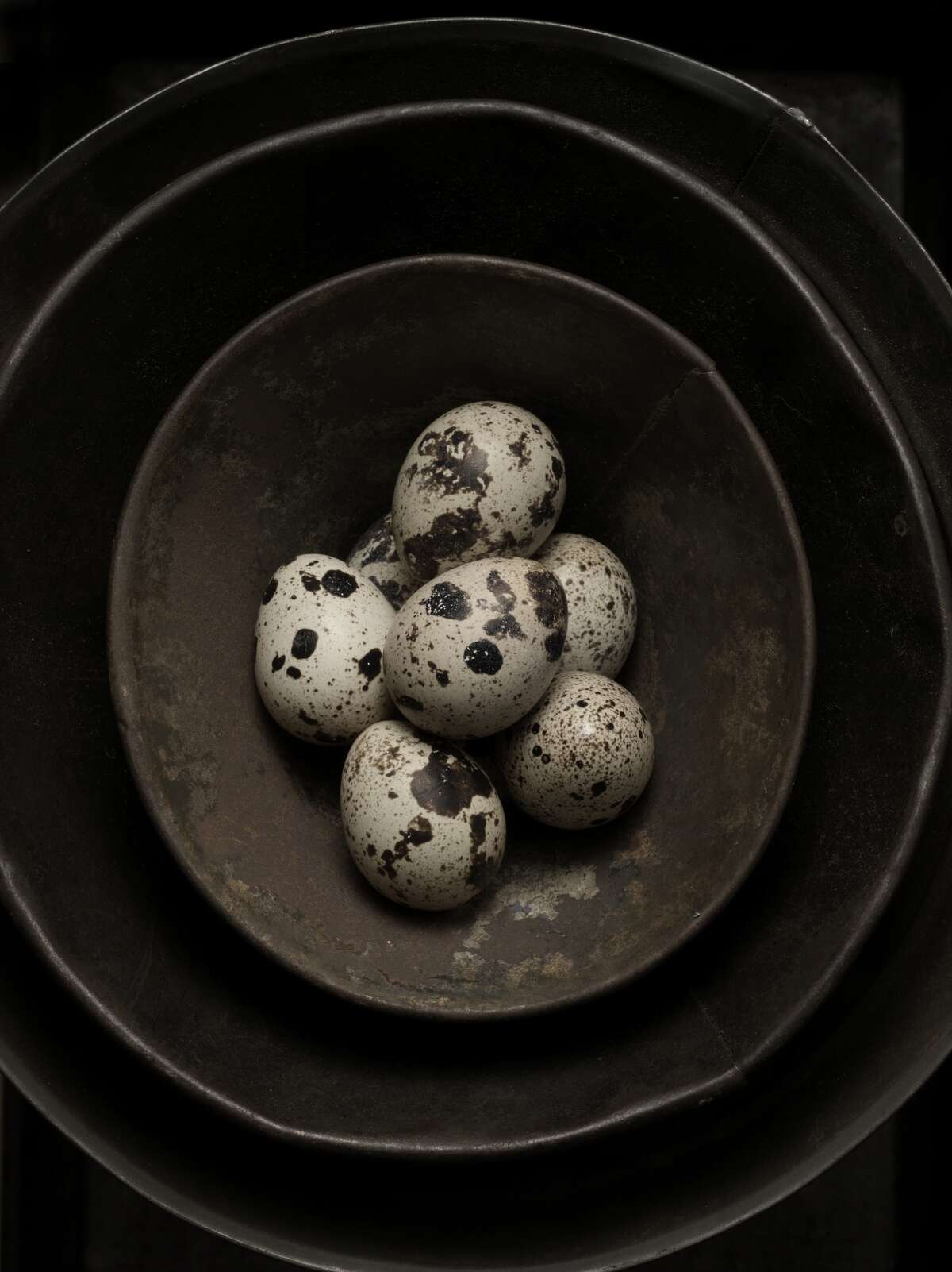 World's ugliest color revealed