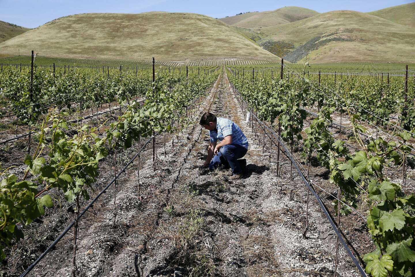 Wine industry is changing; Joe Wagner is the face of transformation