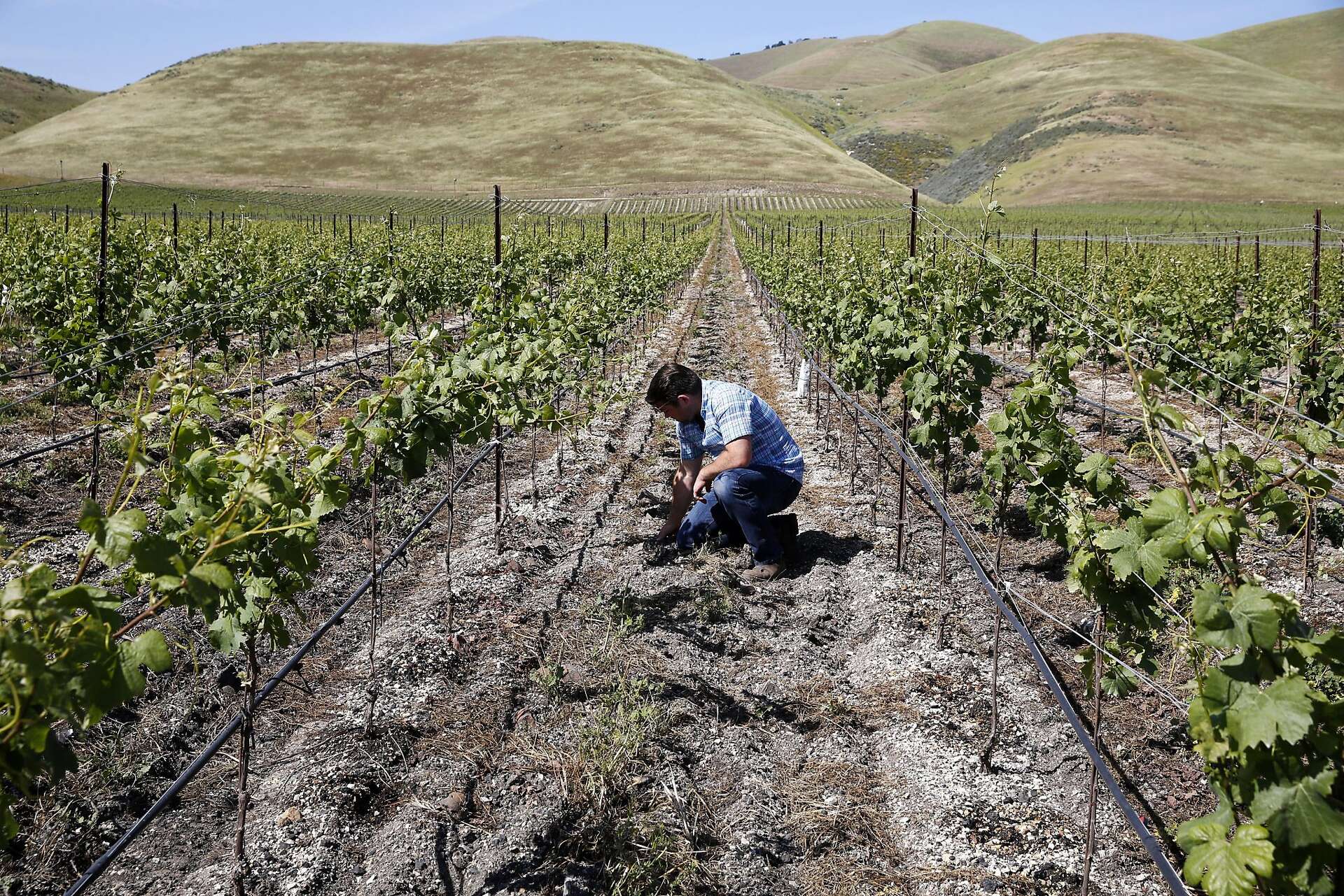 Wine industry is changing; Joe Wagner is the face of transformation