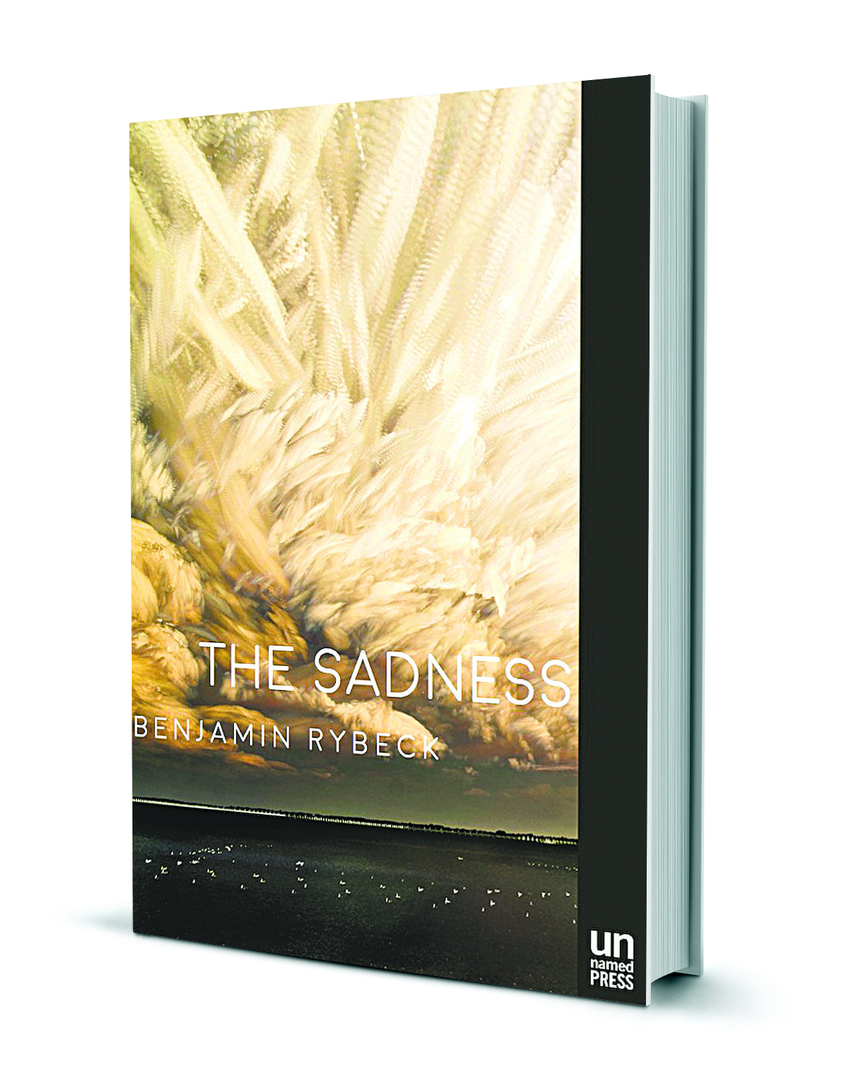 Houston writer examines life through cinema