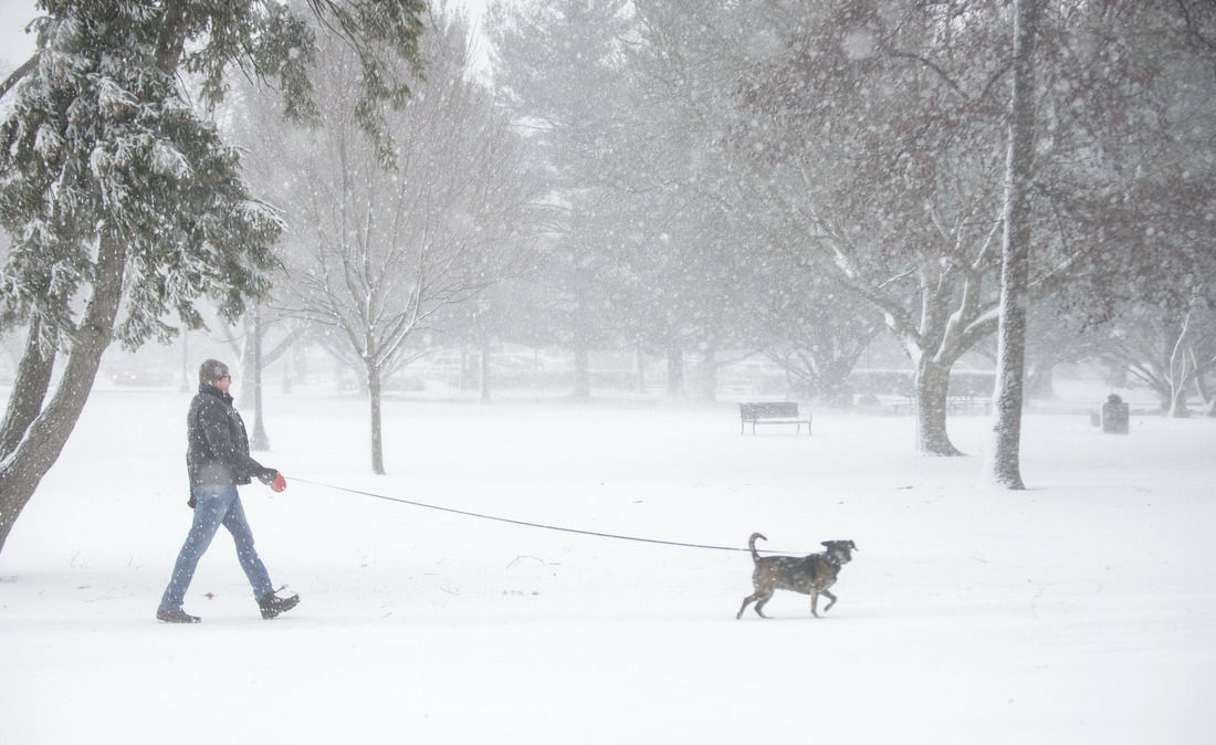 Heavy snow, strong winds whip through Midwest