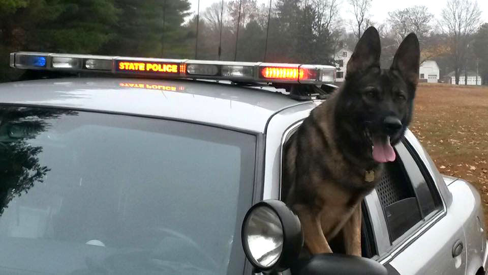 Connecticut State Police K-9 to receive body armor