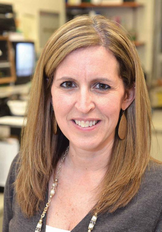 BOE brings former assistant principal, Mattera, back to Norwalk