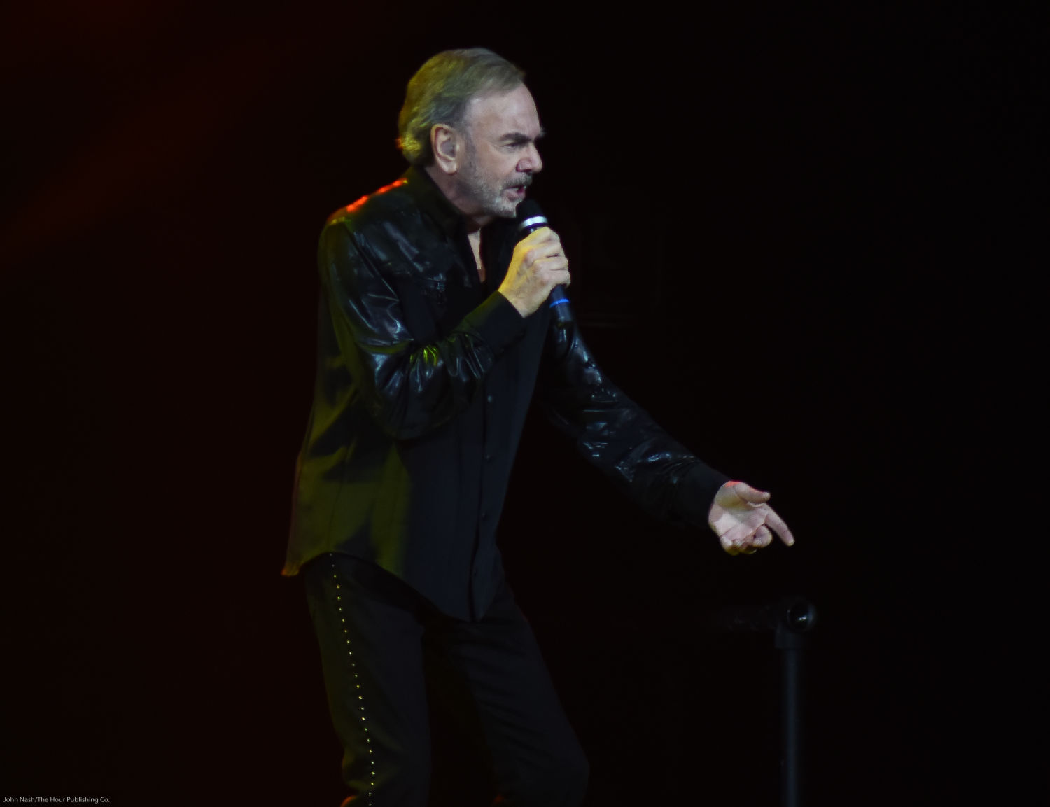 Neil Diamond - In Concert