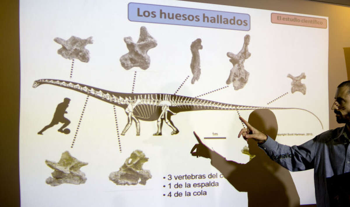 Argentine dino find: long-necks survived Jurassic