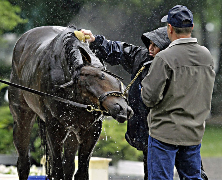 Myriad factors make winning Triple Crown so tough