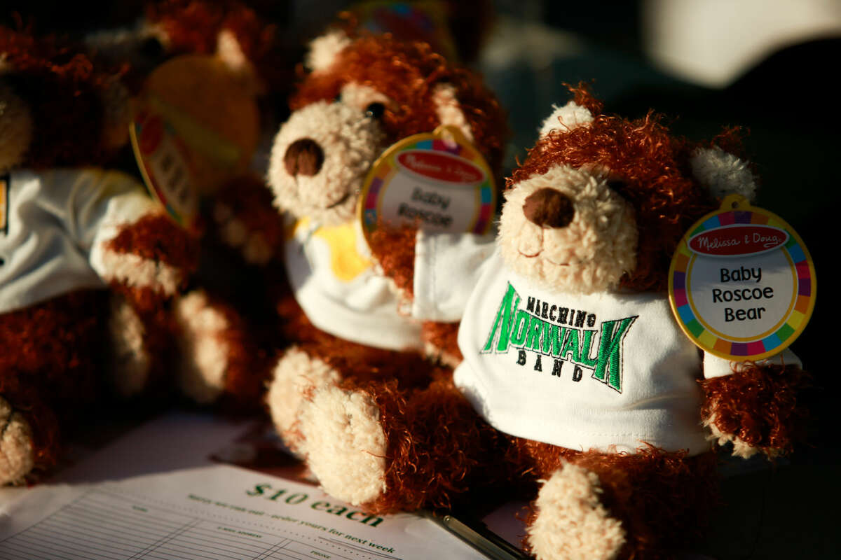 IN PHOTOS: Marching Bears perform Friday night