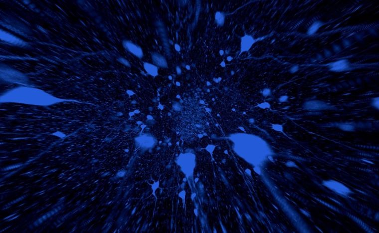 See-through mice reveal details of inner anatomy