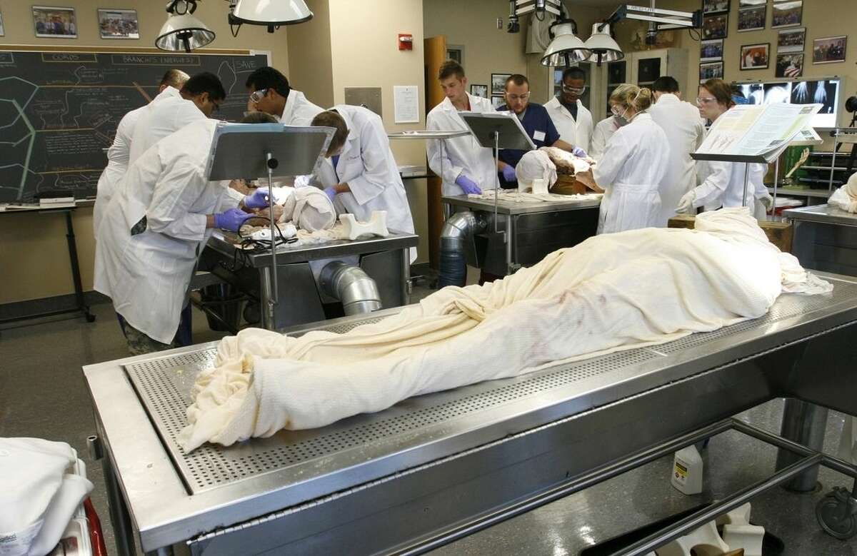 Cadavers A Teen And A Med School Dream Cadavers A Teen And A Med School Dream