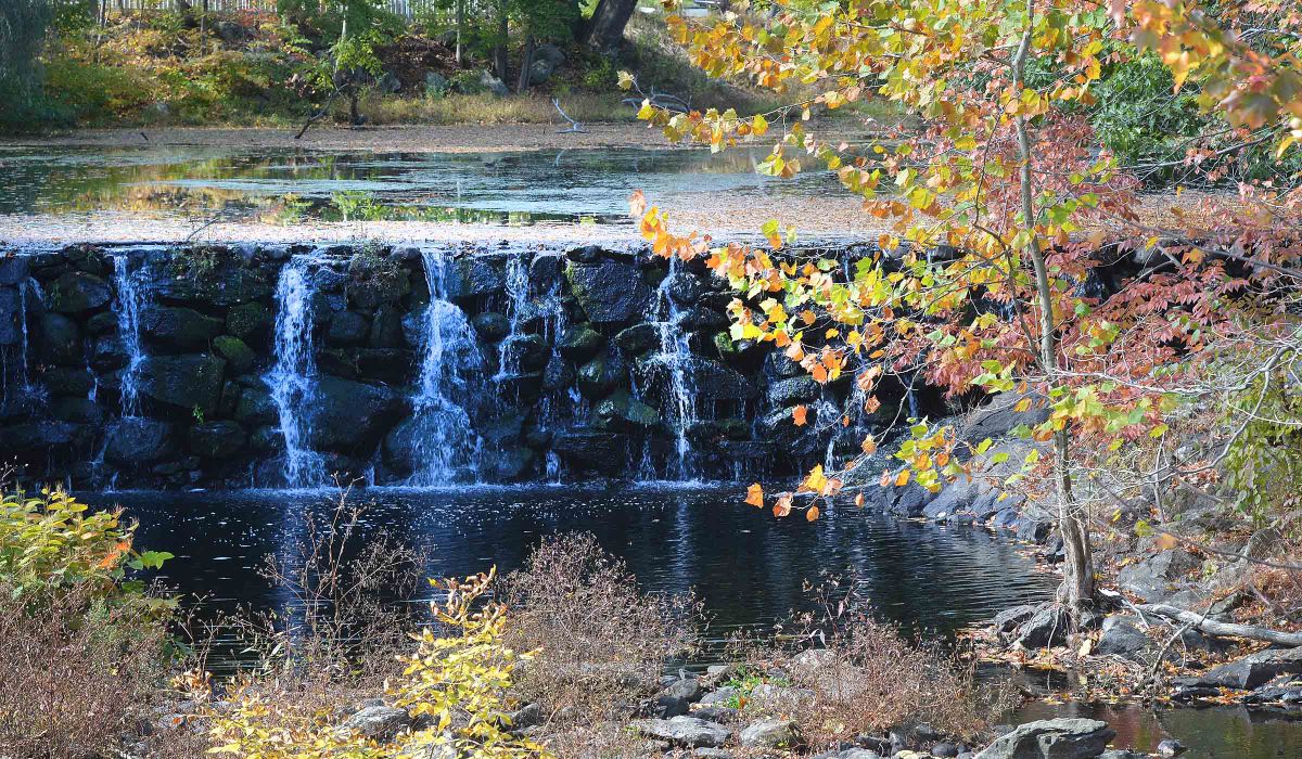 Fall foliage along the Silvermine River