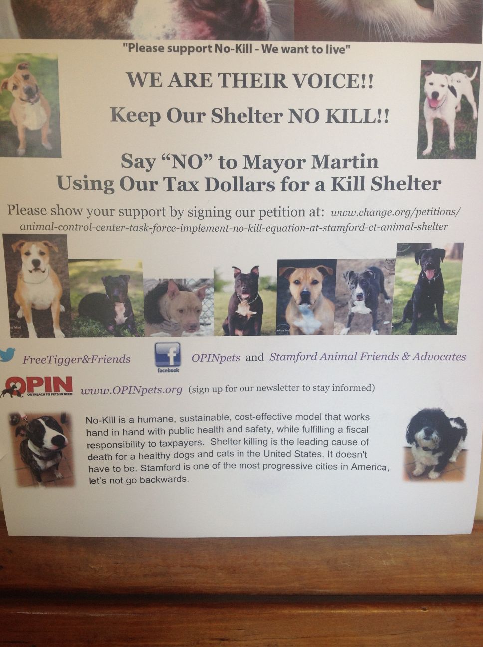 Please Help Keep our Animal Shelter No Kill!