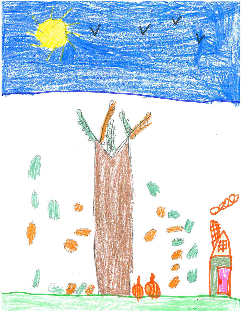 Today's weather drawing
