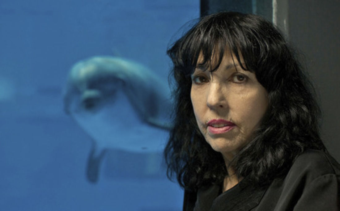 Dolphin researcher to give talk at Maritime Aquarium