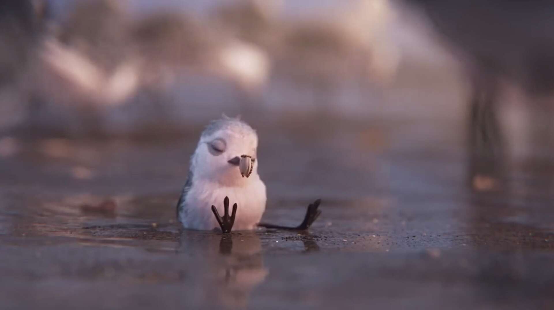 Disney Pixar releases clip of new short starring little bird, 'Piper'
