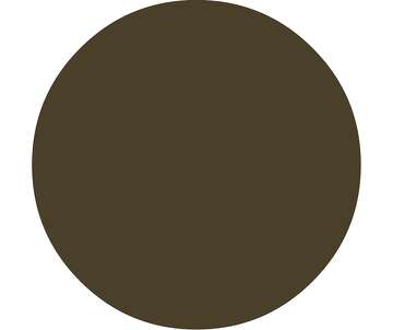 World's ugliest color revealed