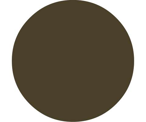World's ugliest color revealed