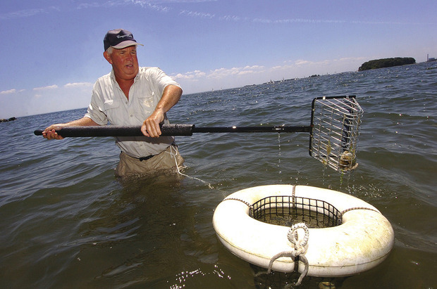 The sport of shellfishing