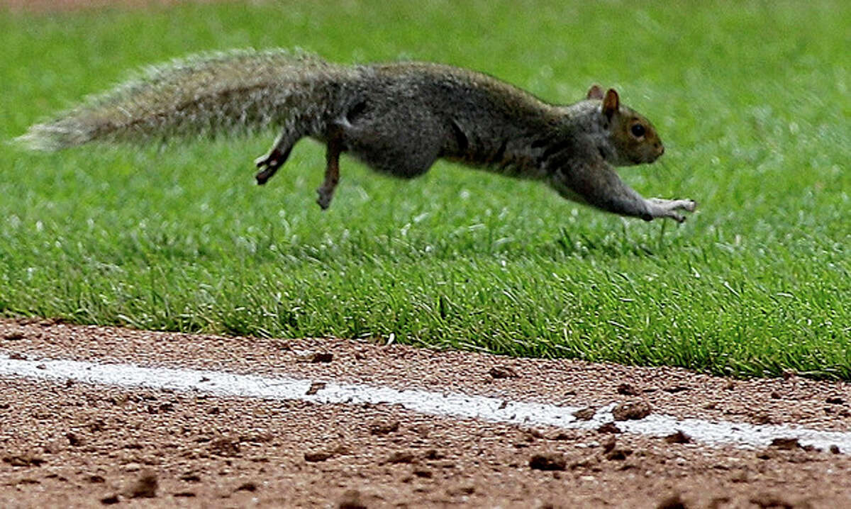 Mets miss the big hit, get swept by Reds