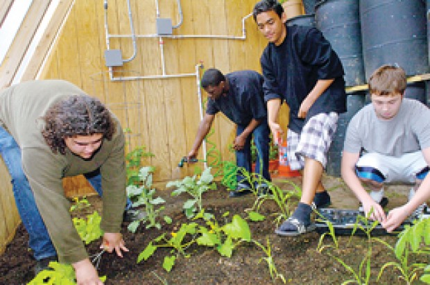 High Road School launches program to feed students