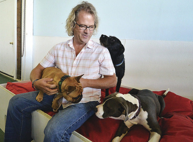 Dog Gone Smart celebrates 20 years of serving dogs in Norwalk