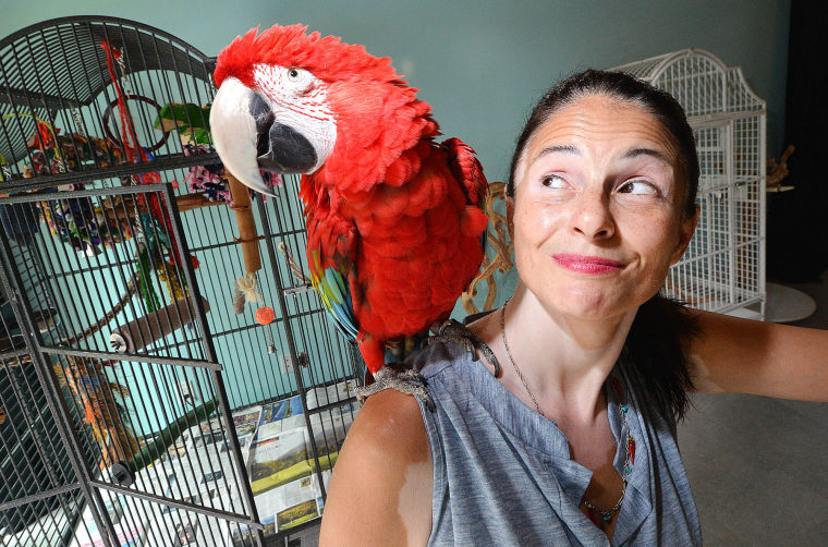 Wilton bird rescue finds parrots new homes