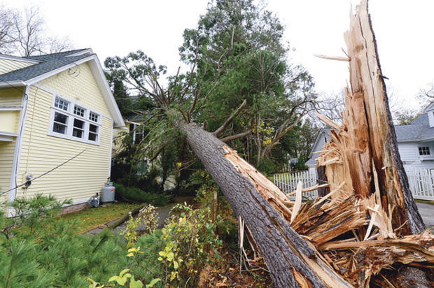 How to help Hurricane Sandy relief